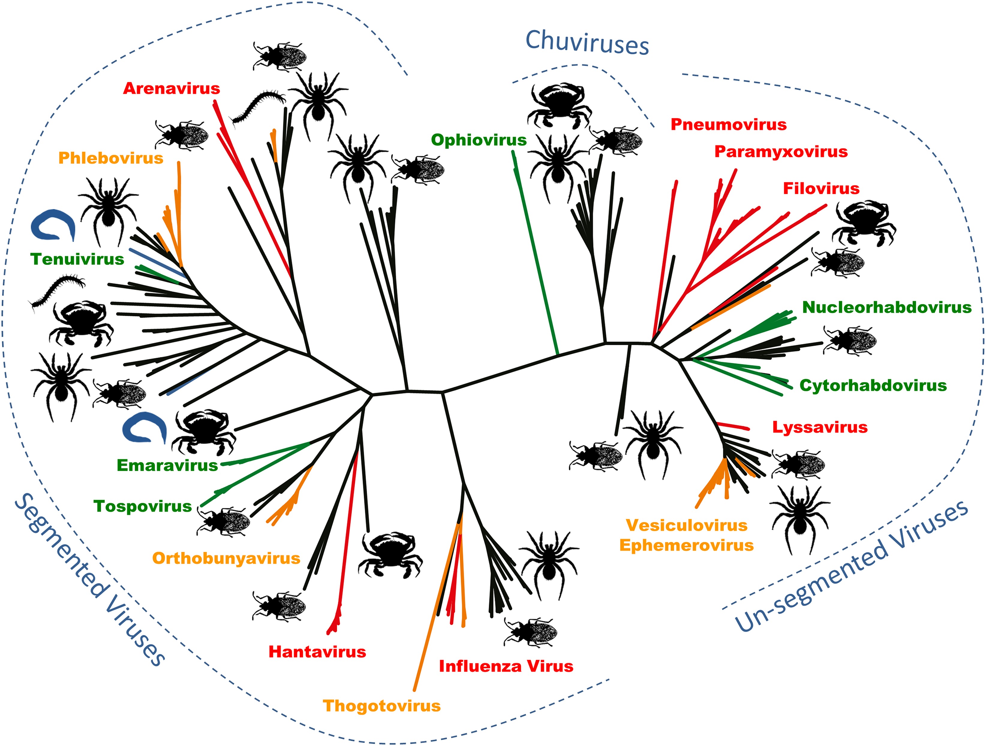 Are arthropods at the heart of virus evolution? | eLife